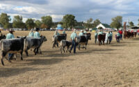 Warialda Show - Gwydir Shire Council