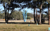 Warialda Koala Park and Wildlife Reserve - Gwydir Shire Council